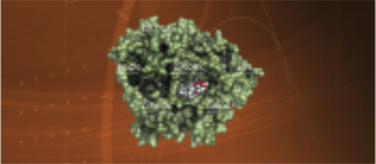 Accelero Bio Structures